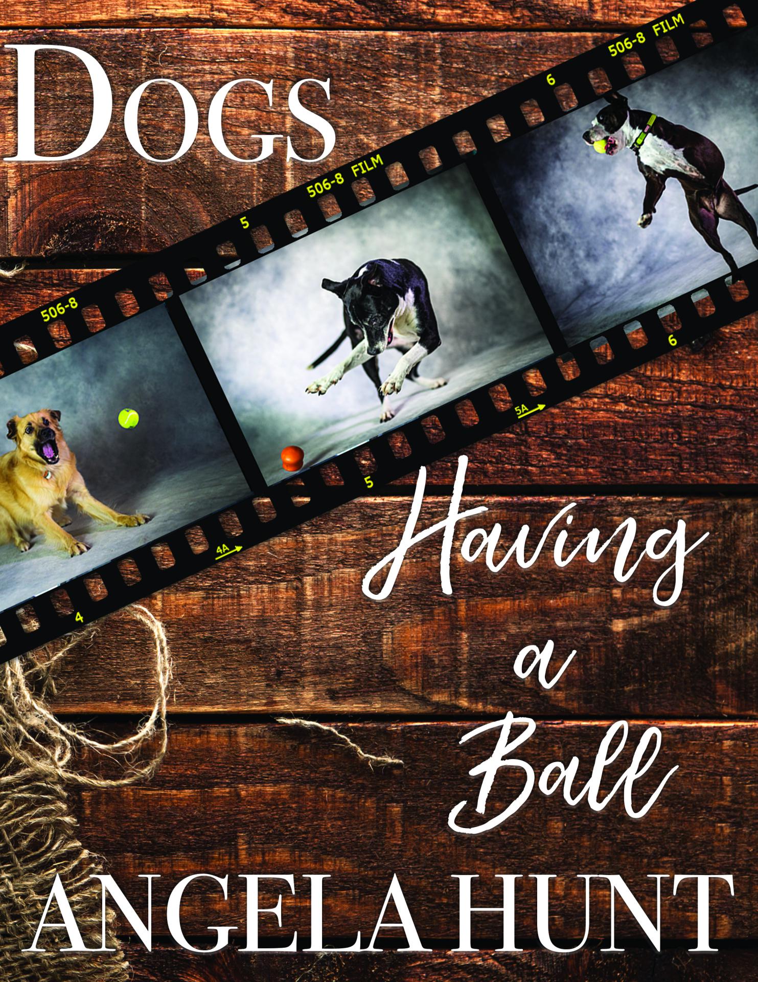 Non-Fiction Archives - Angela Hunt Books